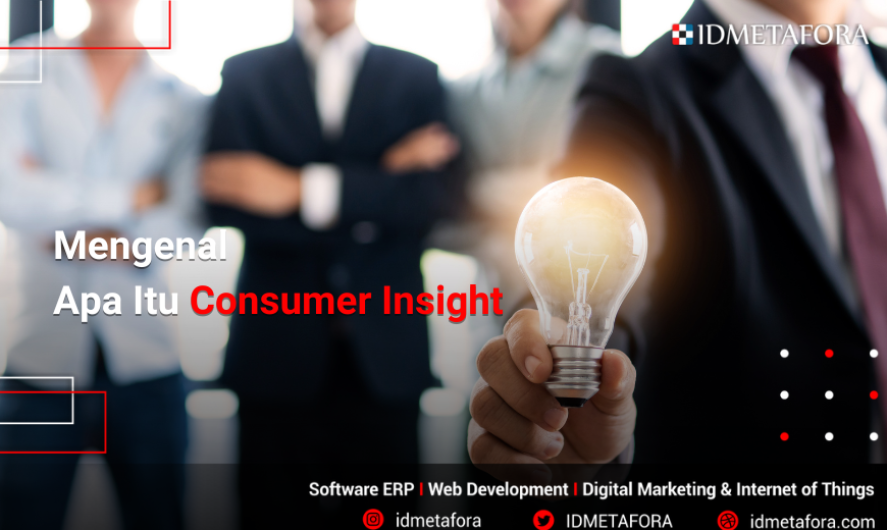 Apa Itu Consumer Insight Hal Penting Yang Harus Diperhatikan Mengenai